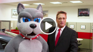 Home - CarDog Automotive Independent Car Dealership CRM Software